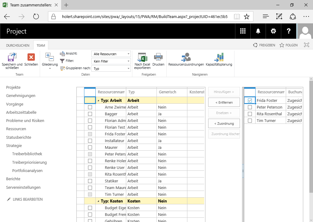 Microsoft Project Server SE